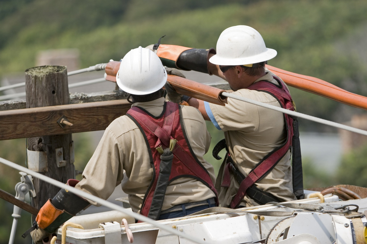 Leading Technology Services Organization in Georgia and Florida